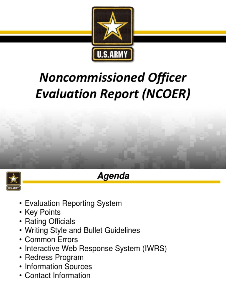 NCOER_NCODP_Nov13 | Evaluation | Internet