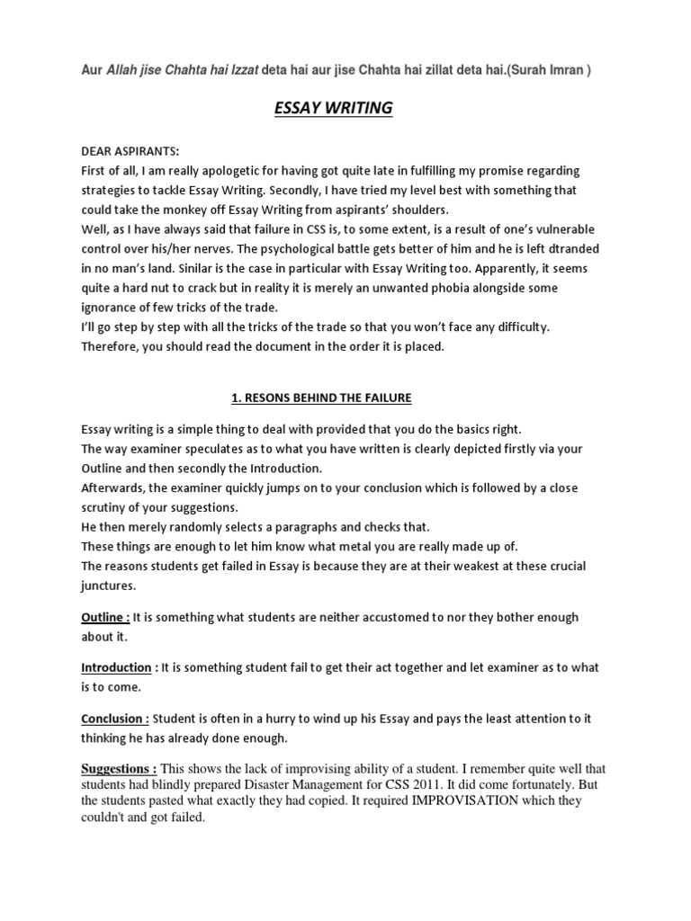 Essay Writing Guide | PDF | Essays | Sentence (Linguistics)
