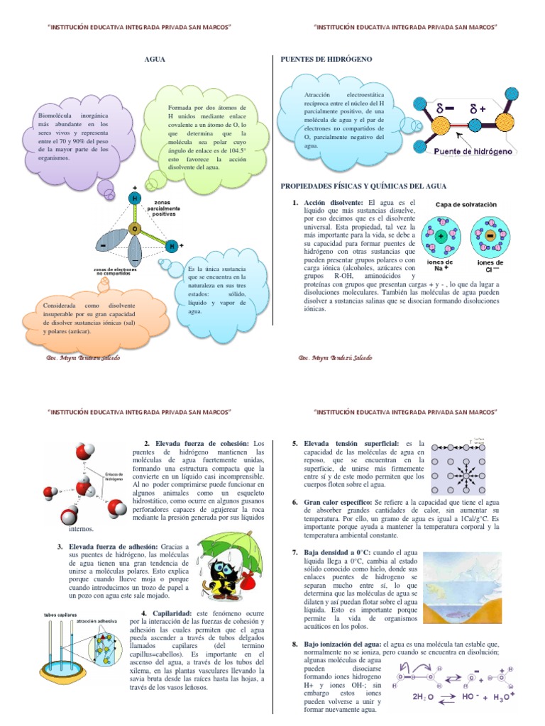 Agua y Propiedades | PDF | Propiedades del agua | Polaridad química
