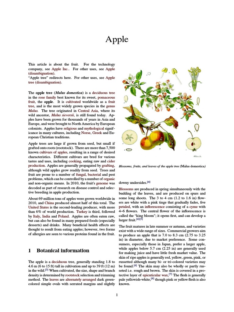 Apple | PDF | Apple | Agriculture