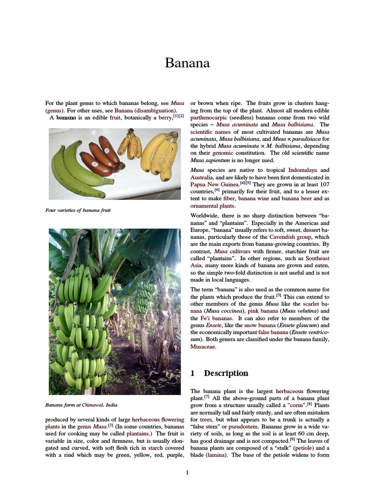 Banana | PDF | Banana | Fruit