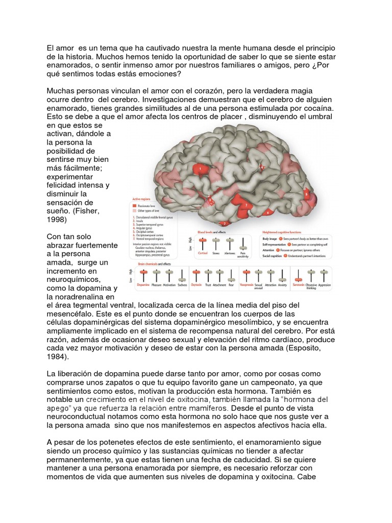 Neurotransmisores en El AMOR | Dopamina | Amor