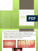 Línea Alba Oclusal | PDF | Enfermedades y trastornos | Boca