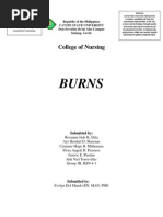 Burn Dressing Guidelines | PDF | Wound | Burn
