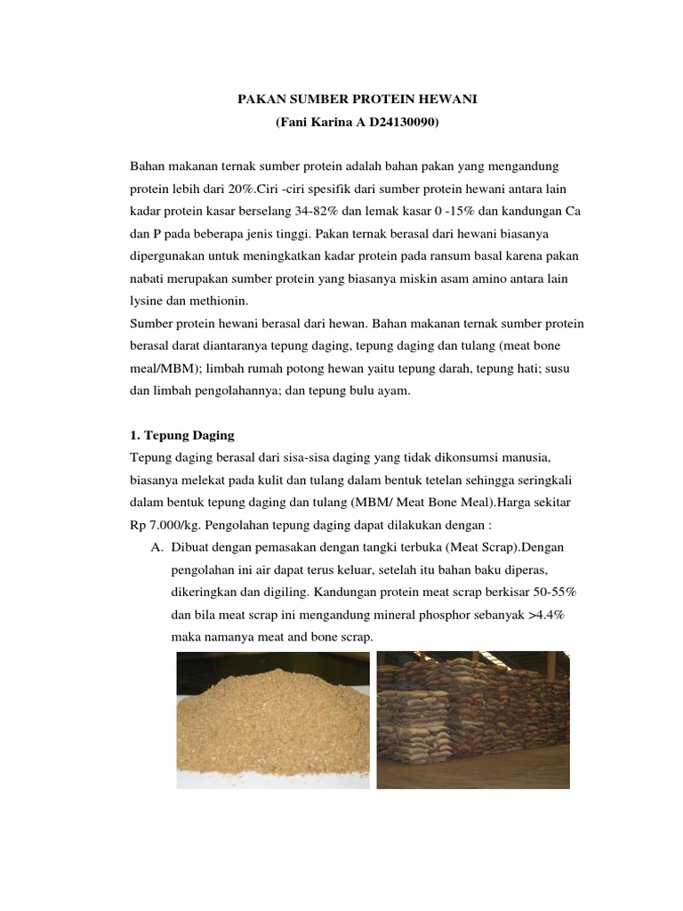 Pakan Sumber Protein Hewani | PDF | Kesehatan Holistik
