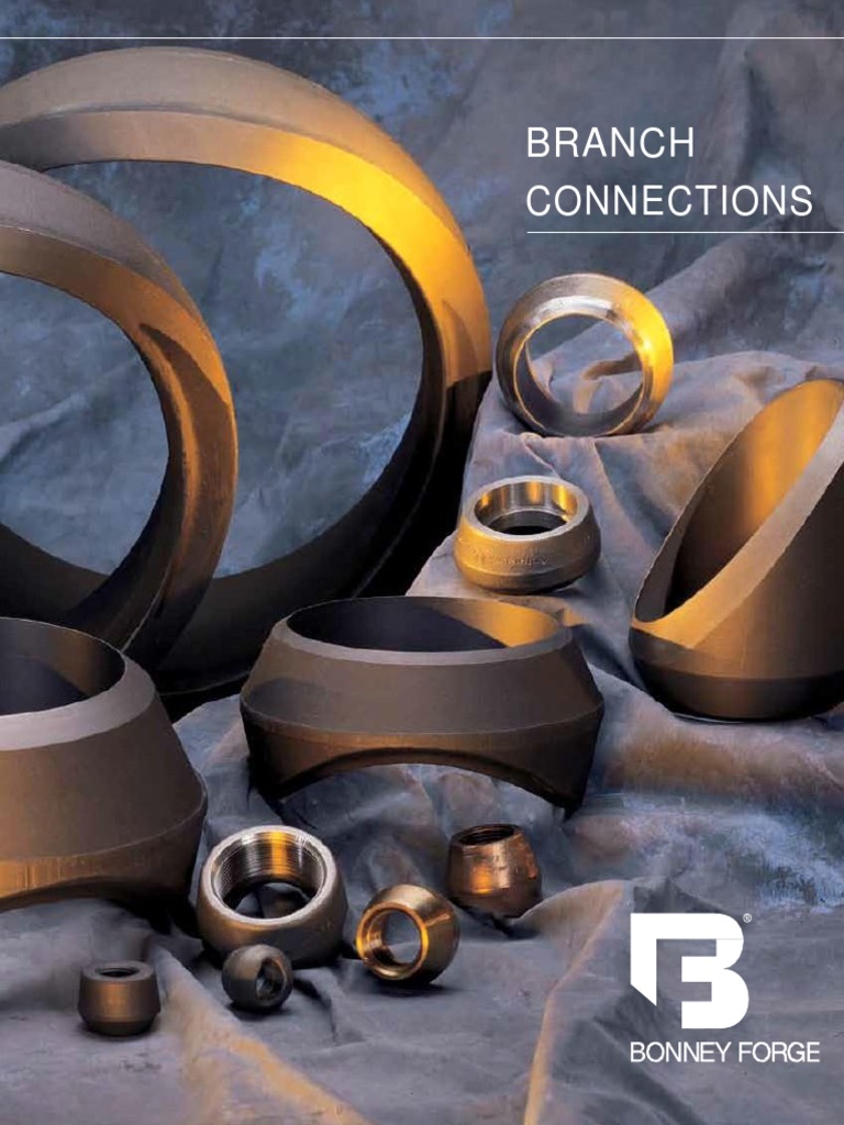 Bonney Forge Branch Connections | Download Free PDF | Pipe (Fluid ...