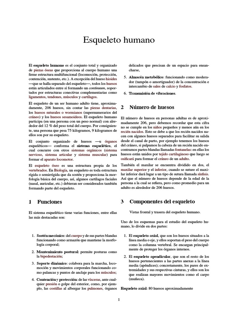 Esqueleto Humano PDF | PDF | Sistema musculoesquelético | Anatomía de ...