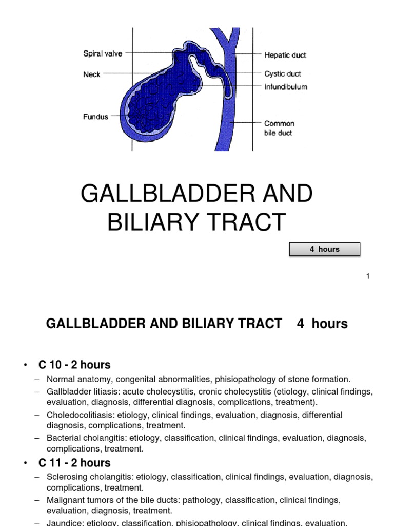 C 10 + 11 Gallbladder and Biliary Tract | PDF | Gallbladder | Bile