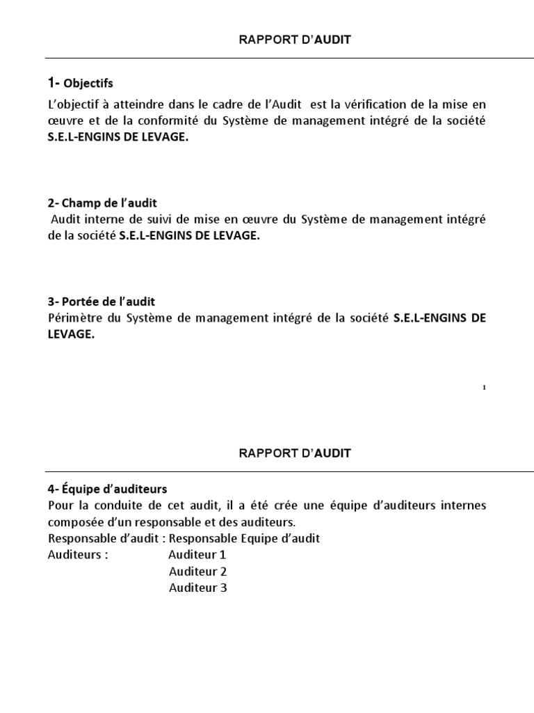 Rapport d'audit.pdf | Audit | Business