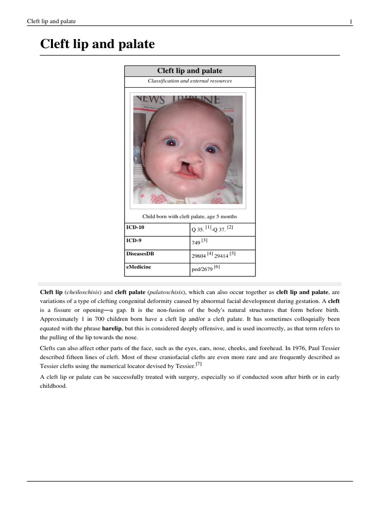 Cleft Lip& Palate | PDF | Wellness | Medical