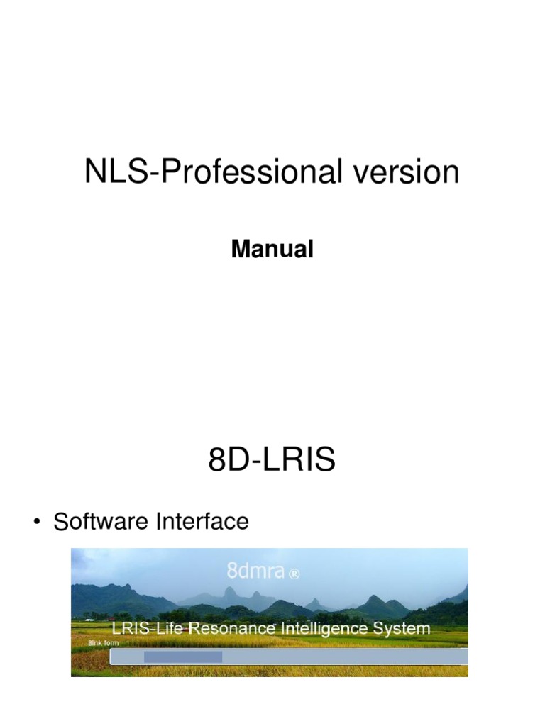 NLS-Professional Version: Manual | PDF | Floppy Disk | Electromagnetic ...