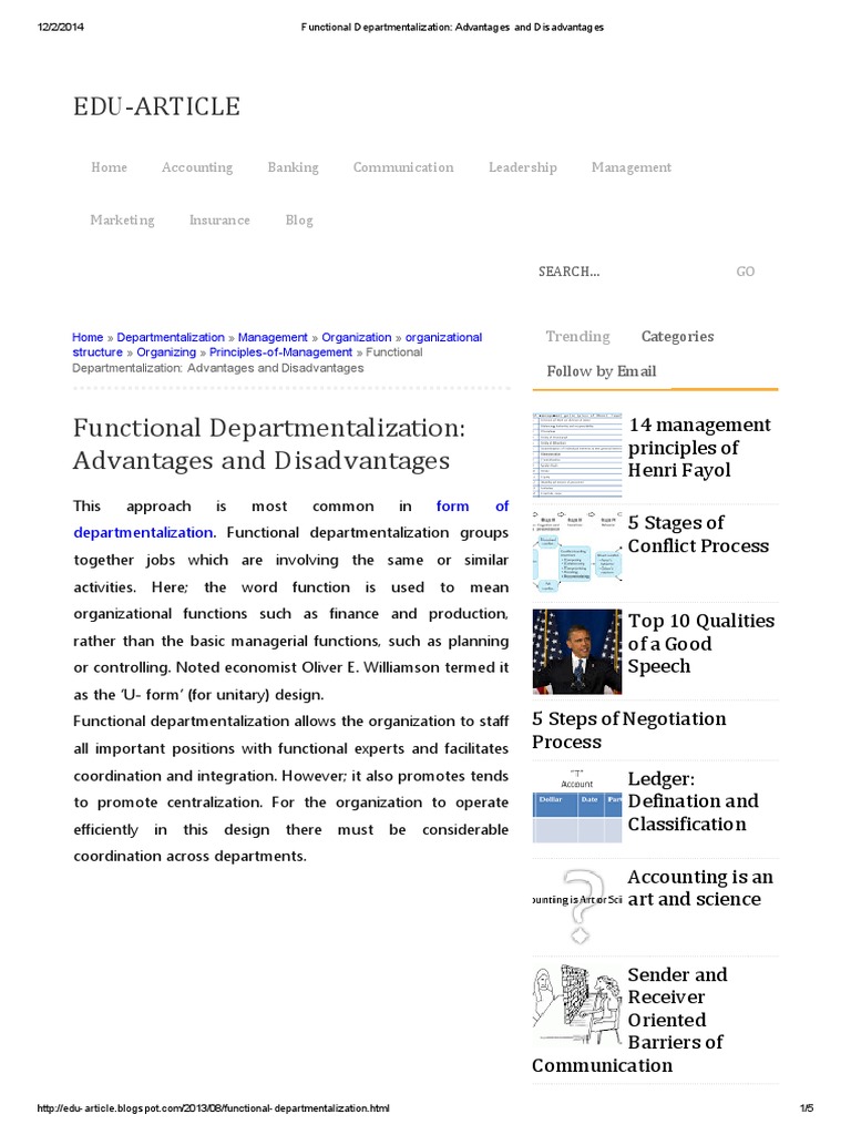 Functional Departmentalization - Advantages and Disadvantages | PDF ...