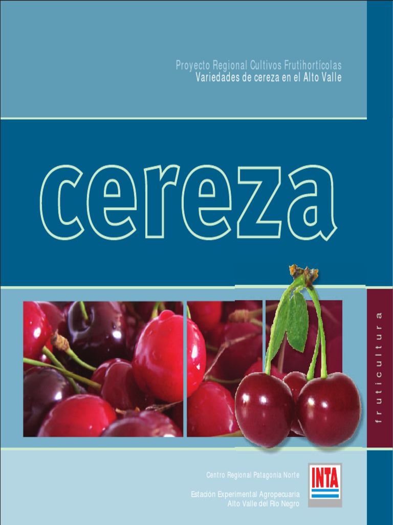 Folleto Cerezas | PDF | Fruta | Agua