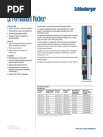 Packers Catalog SCHLUMBERGER | PDF | Pipe (Fluid Conveyance) | Casing ...