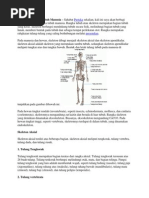 LKPD Sistem Rangka Manusia | PDF