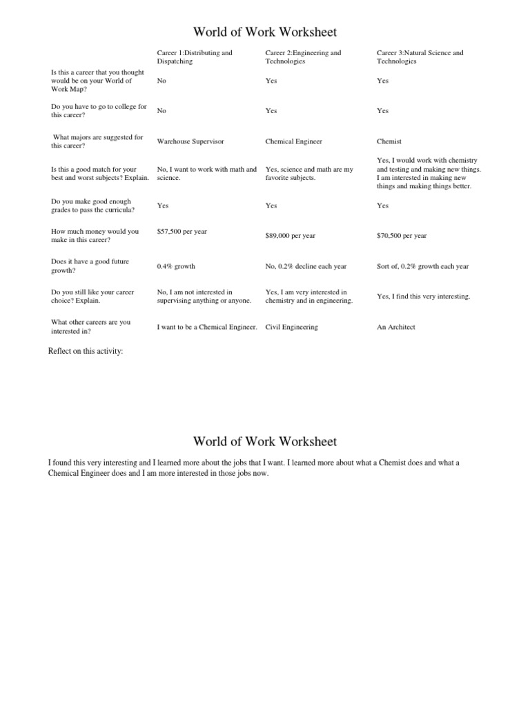 World of Work Career Reflection Worksheet | PDF | Career & Growth
