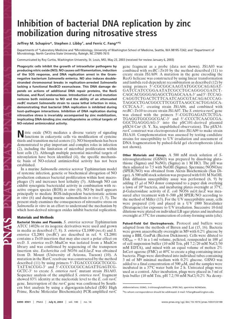 Bac DNA Inhibition | PDF | Dna Repair | Dna