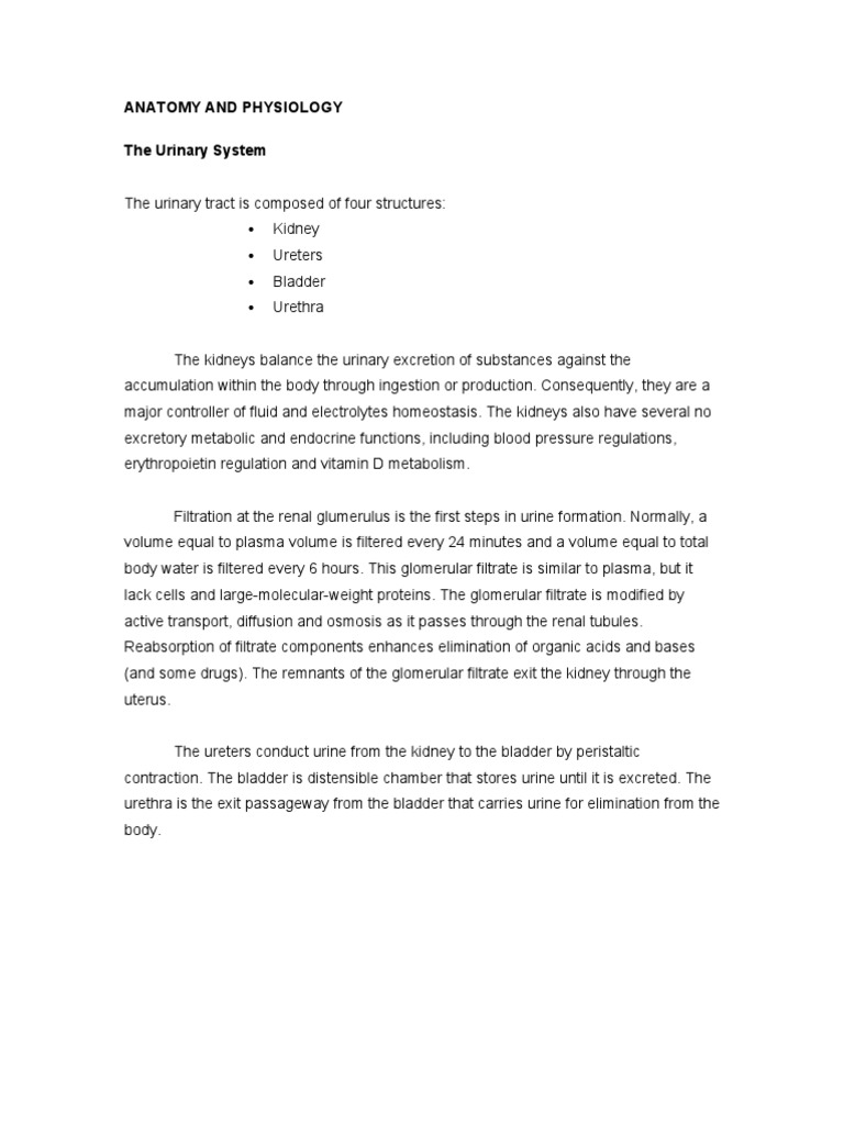 grp52 UTI Dse | PDF | Kidney | Urinary Tract Infection