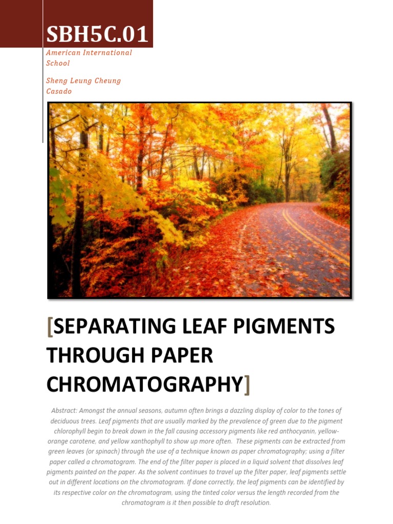AP Biology - Separating Leave Pigments Through Paper Chromatography ...