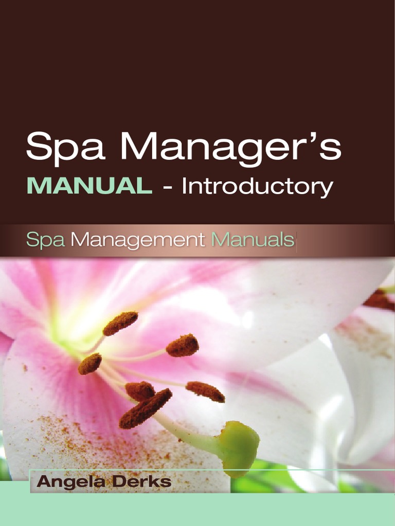 Effective Decision-Making for Spa Managers | PDF | Brainstorming ...