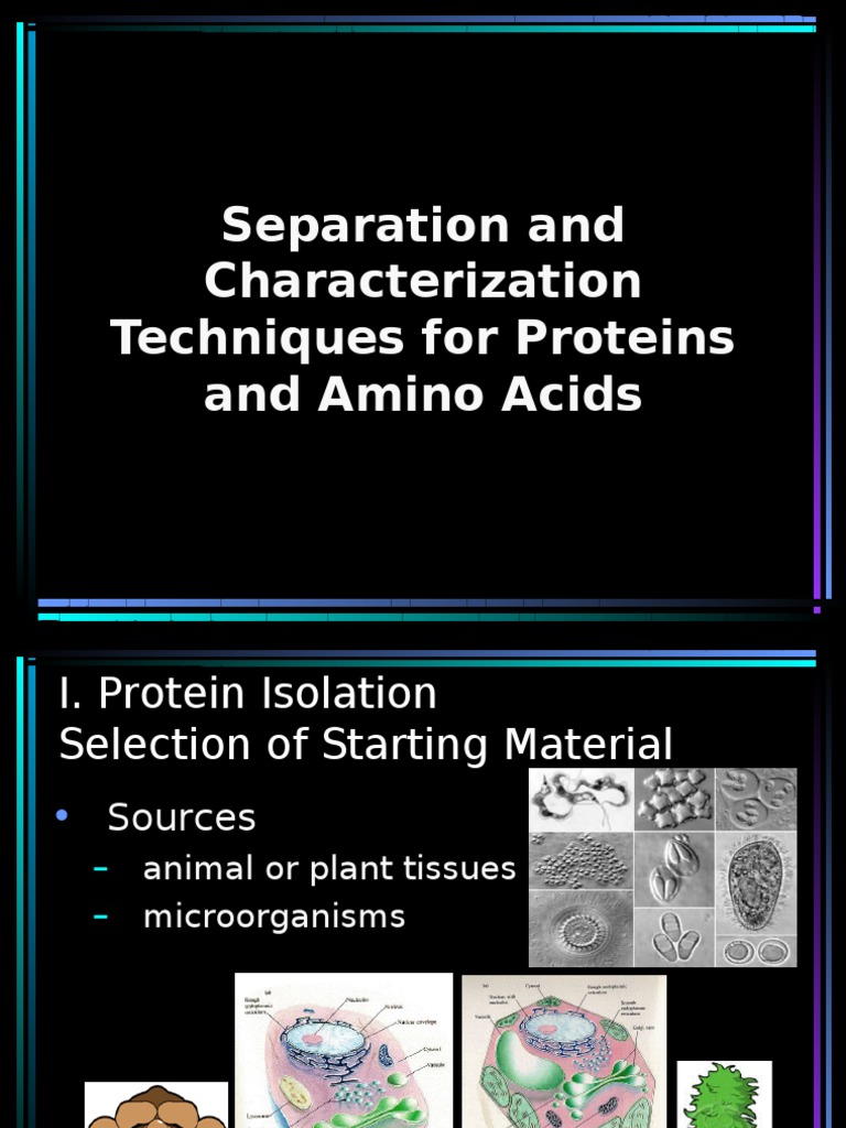 Protein Characterization Techniques | PDF | Chromatography | Gel ...