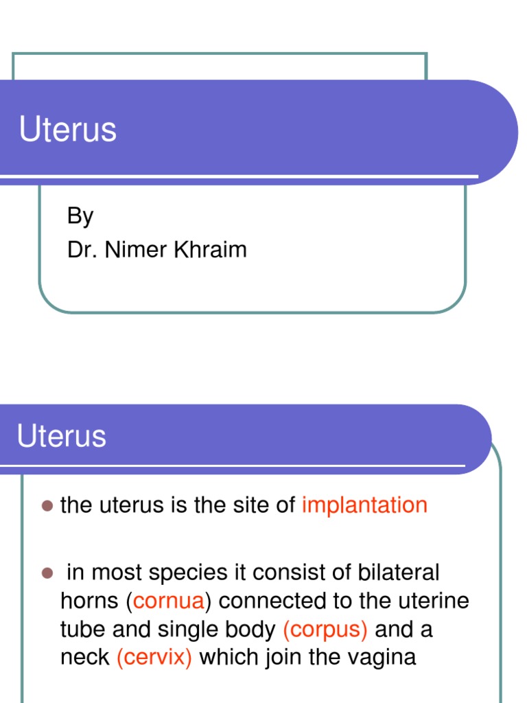Uterus Structure and Function Overview | PDF | Science & Mathematics ...