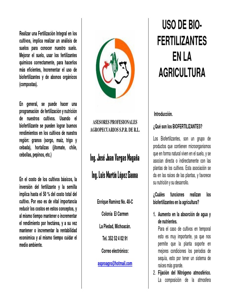 Triptico Biofertilizantes | PDF | Nitrógeno | Fertilizante