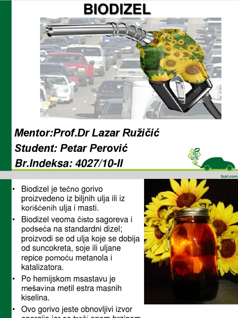 Biodizel Petar Perovic | PDF