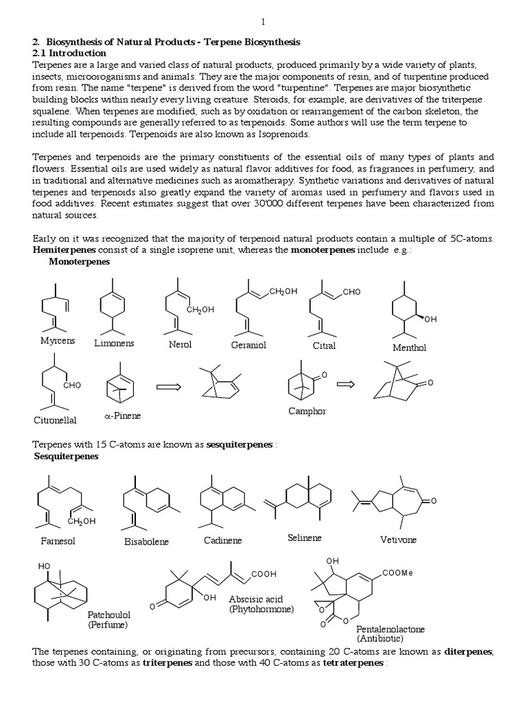 Terpene Biosynthesis Overview | PDF | Chemistry | Chemicals