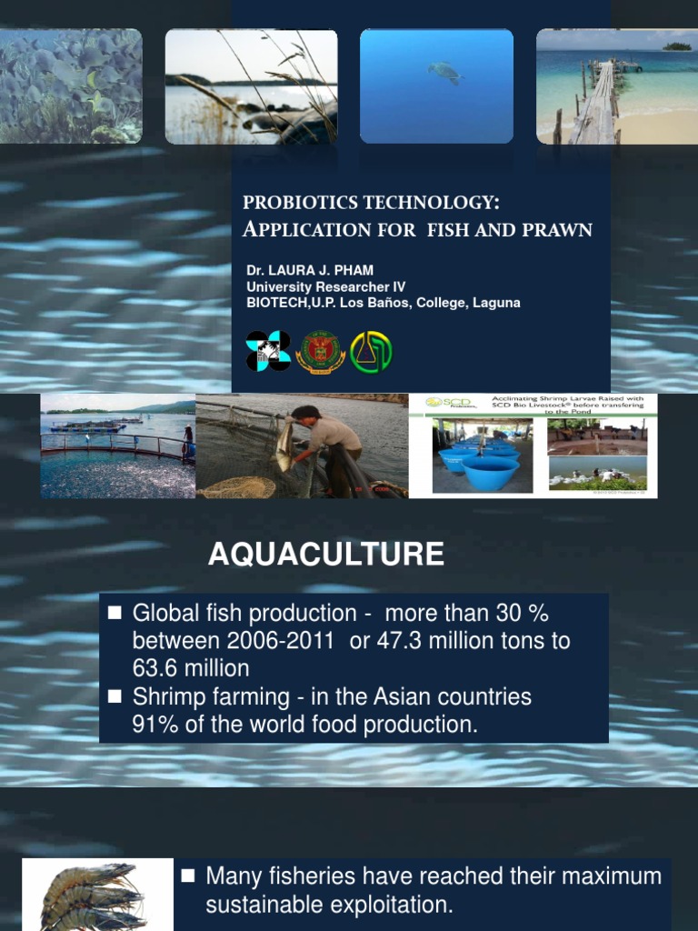 6 DR PHAM Probio Feeds PDF | PDF | Probiotic | Lactobacillus