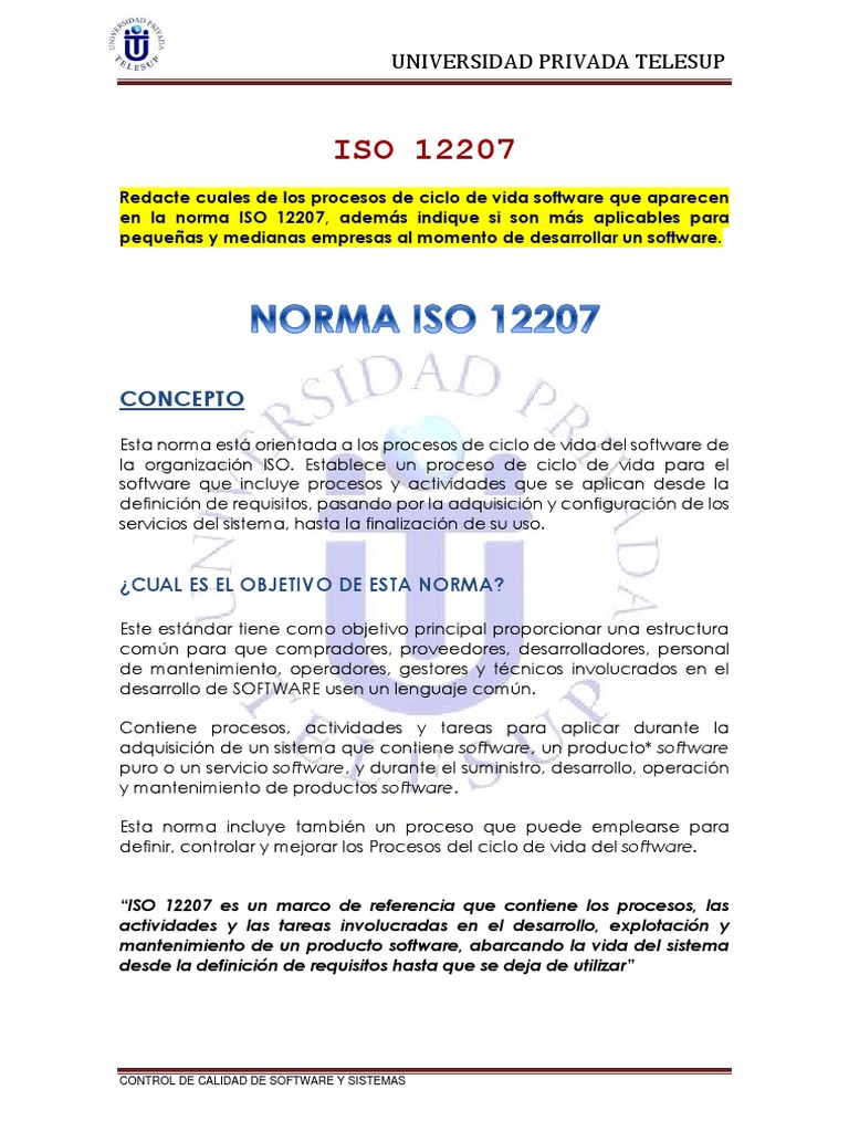 Iso 12207 | PDF | Proceso de desarrollo de software | Software