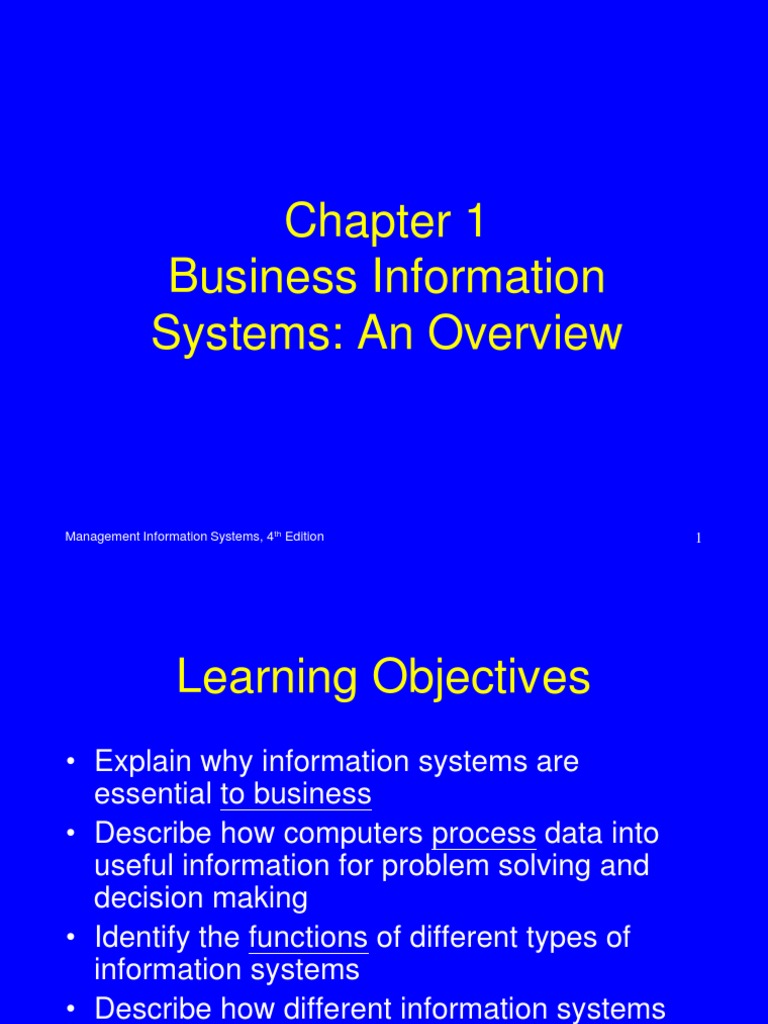 Business Information System | PDF | Management Information System ...