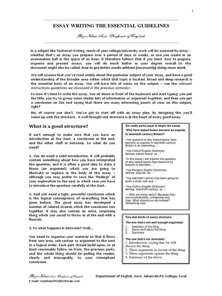 Essay Writing Guidelines | PDF | Comma | Essays