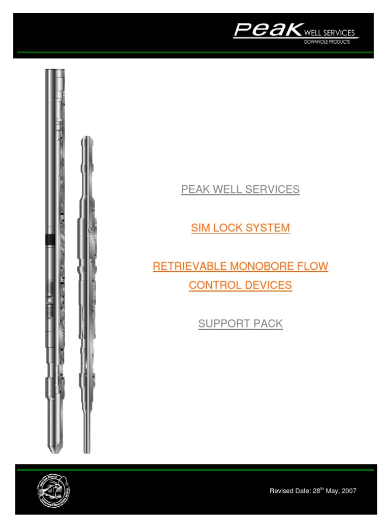 Peak Well Services SIM Lock Overview | PDF | Science | Engineering