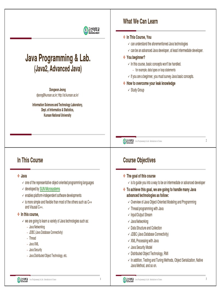 Java Programming & Lab | PDF | Java (Programming Language) | Object ...