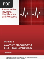 Resuscitation Triangle Roles: Compressor Team Leader | PDF ...