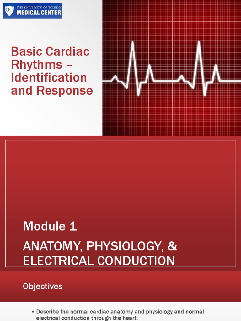 Utmc - Utoledo.edu Depts Nursing Pdfs Basic EKG Refresher | PDF