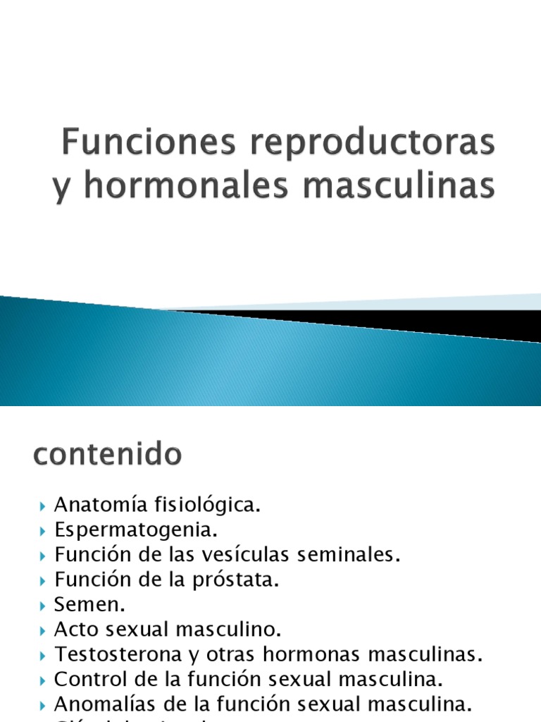 Función Reproductora Masculina | PDF | Testículo | Semen