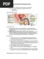 Male and Female Reproductive System Quiz | PDF | Reproductive System ...
