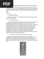 Oclusion Fosa Cuspide | PDF | Anatomia dental | Diente