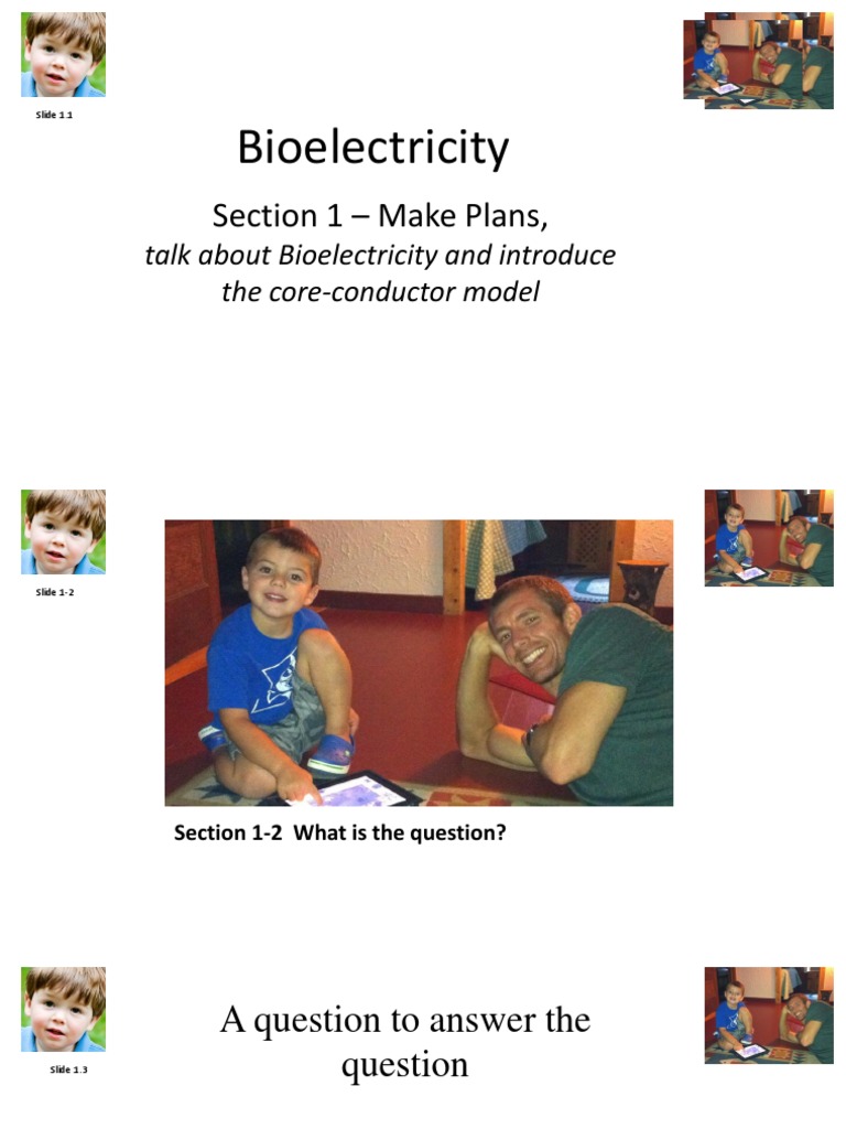 Bioelectricity: Section 1 - Make Plans | PDF | Ion | Membrane Potential