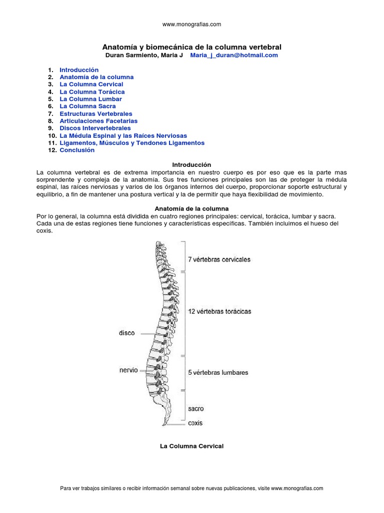 Anatomia Columna Vertebral | PDF | Vértebra | La columna vertebral