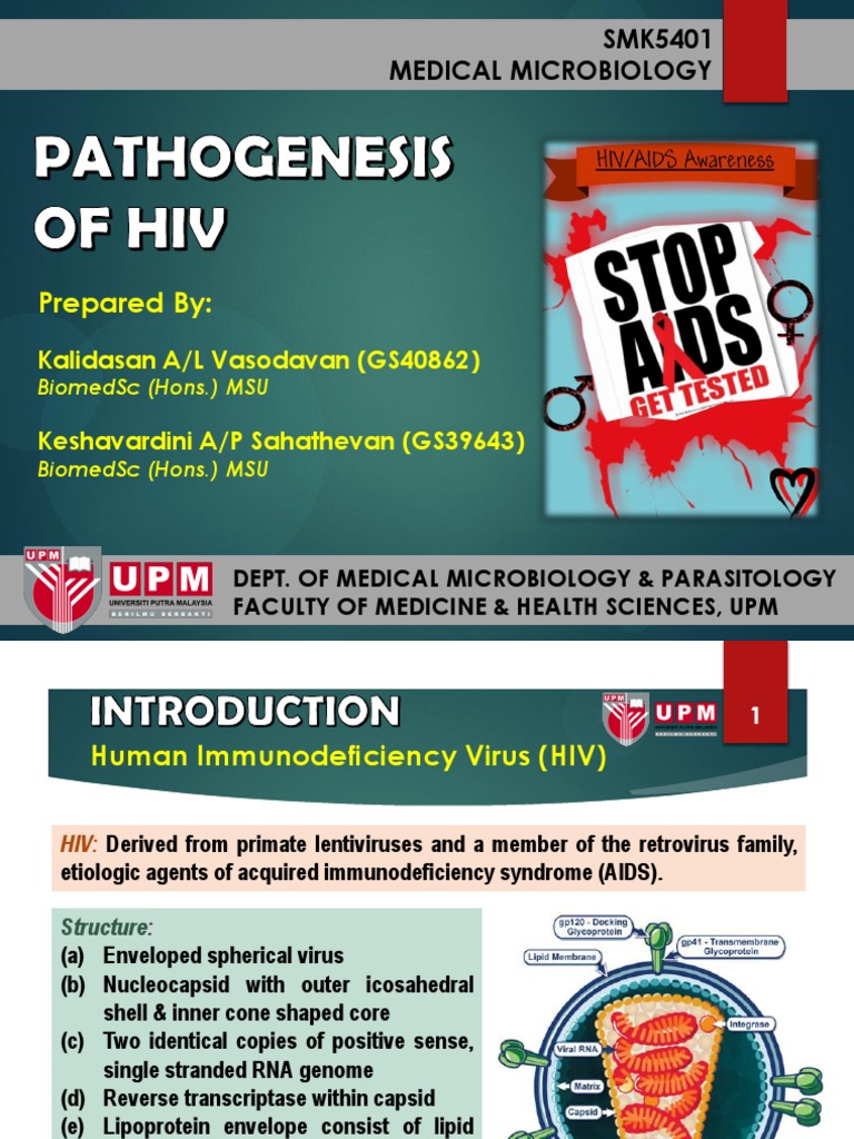 Pathogenesis of HIV | Hiv | Virus