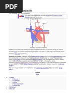 History of Science - Circulatory System Timeline | PDF | Circulatory ...
