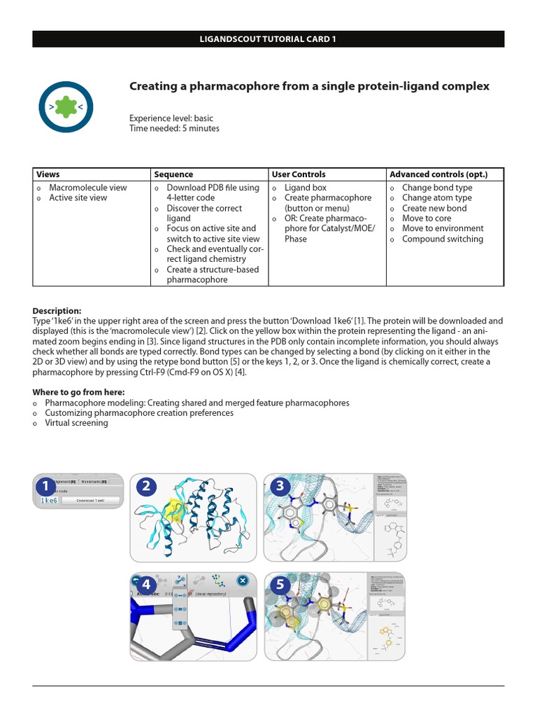 Ligandscout Tutorial Cards | PDF | Docking (Molecular) | Widget (Gui)