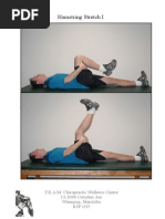 Alfredson Protocol - Achille's Tendonitis | PDF | Pain | Clinical Medicine