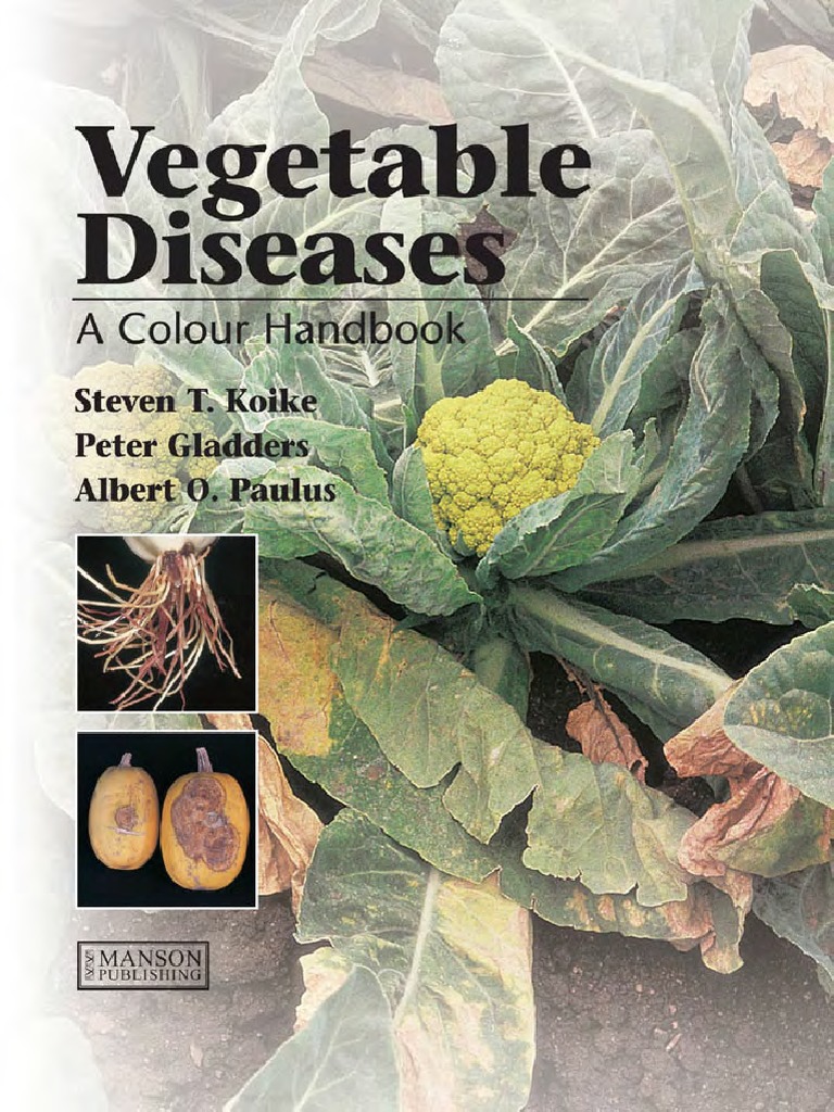 Vegetable Disease | Vegetables | Plant Pathology