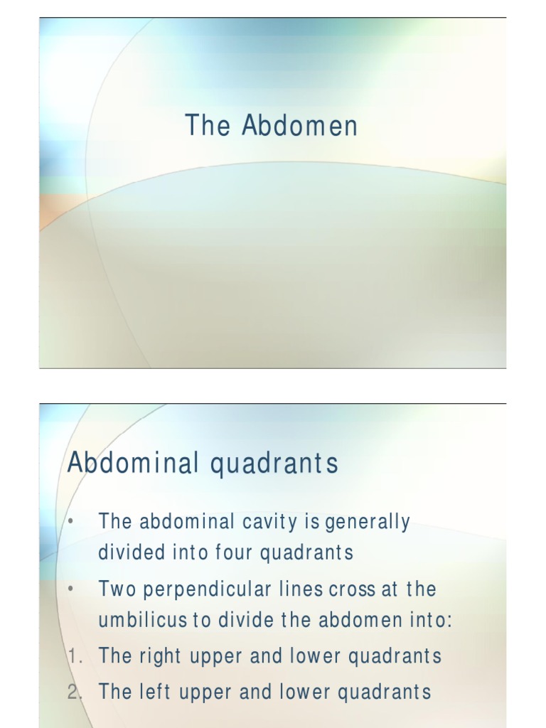 Abdomen | PDF | Abdomen | Gastrointestinal Tract