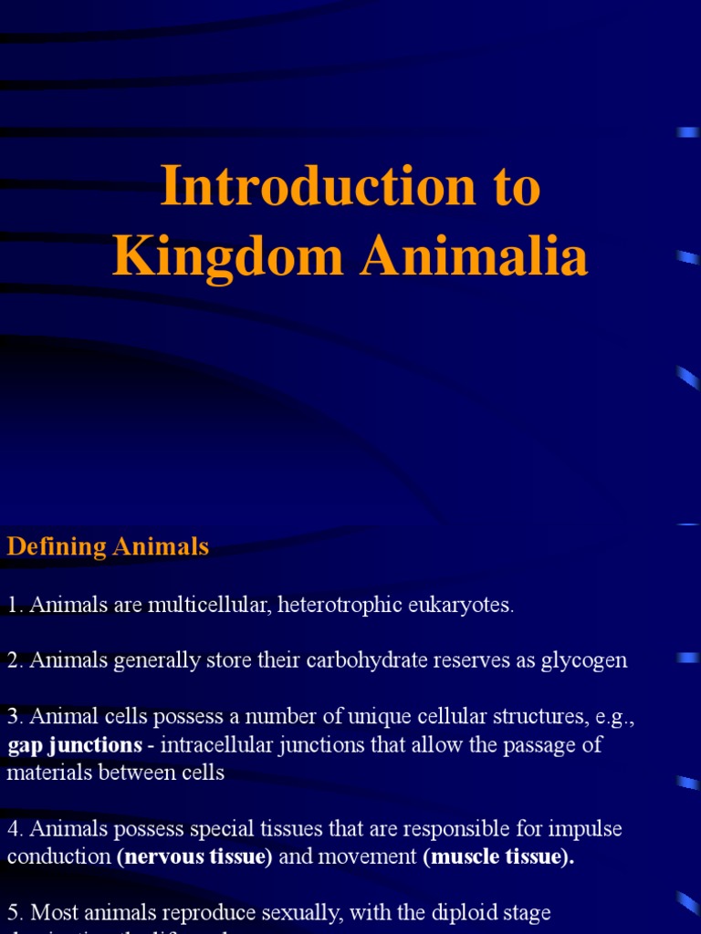3-Kingdom Animalia | PDF | Reproduction | Developmental Biology