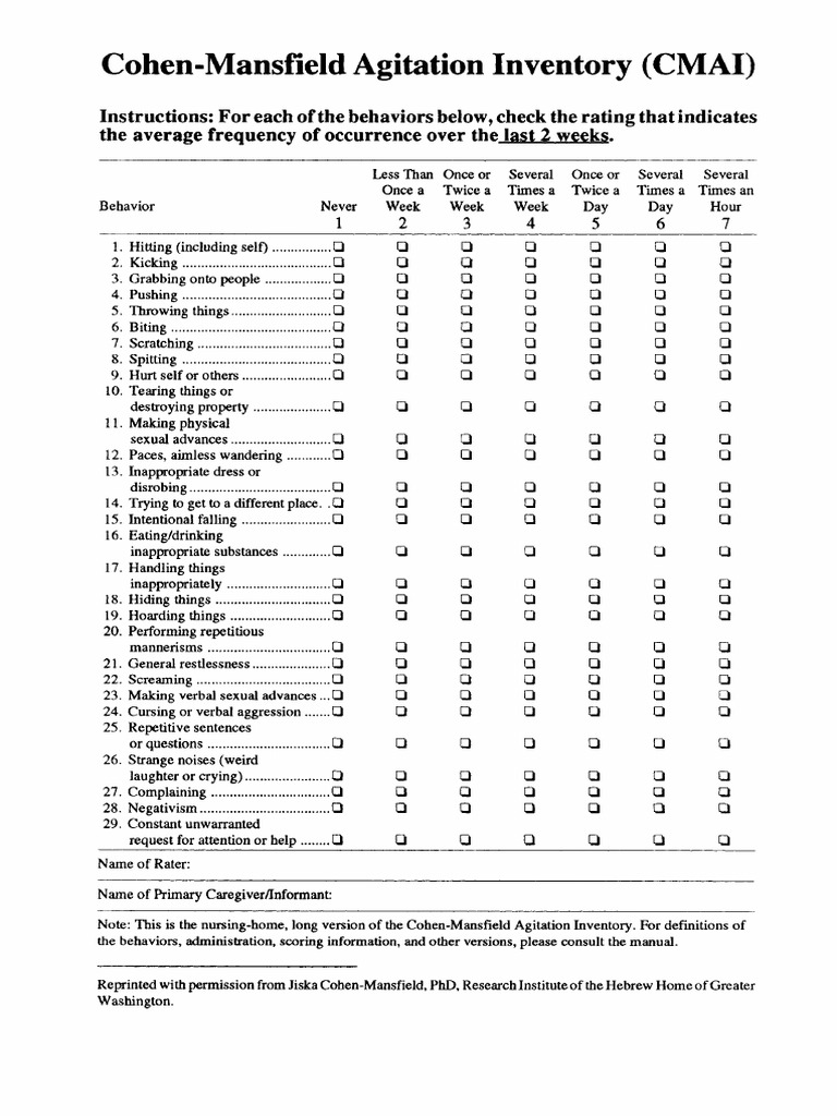 CMAI Agitation Inventory Instructions | PDF